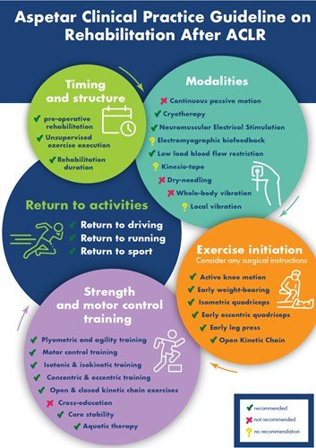 Physiotherapy Rehabilitation after ACL Repair - Next Wave Therapy